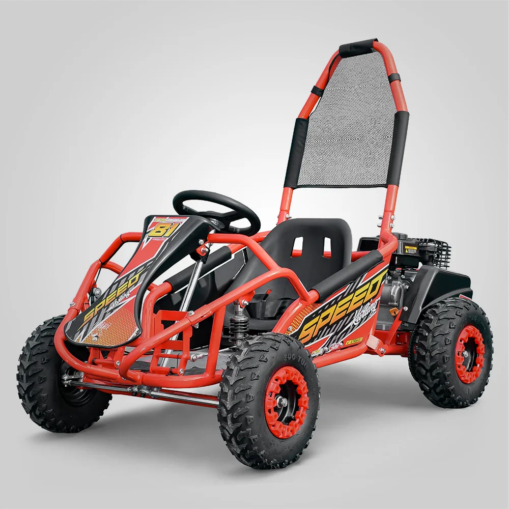 Tao Motor 100cc Go Kart Kit Go Karts for Kids with CE EPA| Alibaba.com