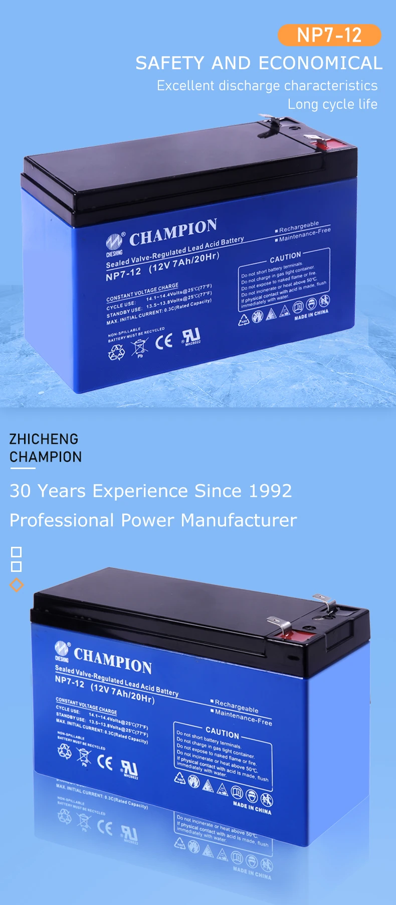 CHAMPION 12V Lead Acid Batteries - Reliable Power Solutions