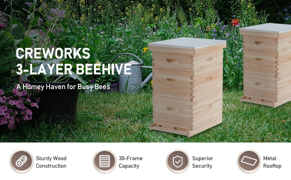 Beekeeping Transparent Bee Hive - Observation & Inspection