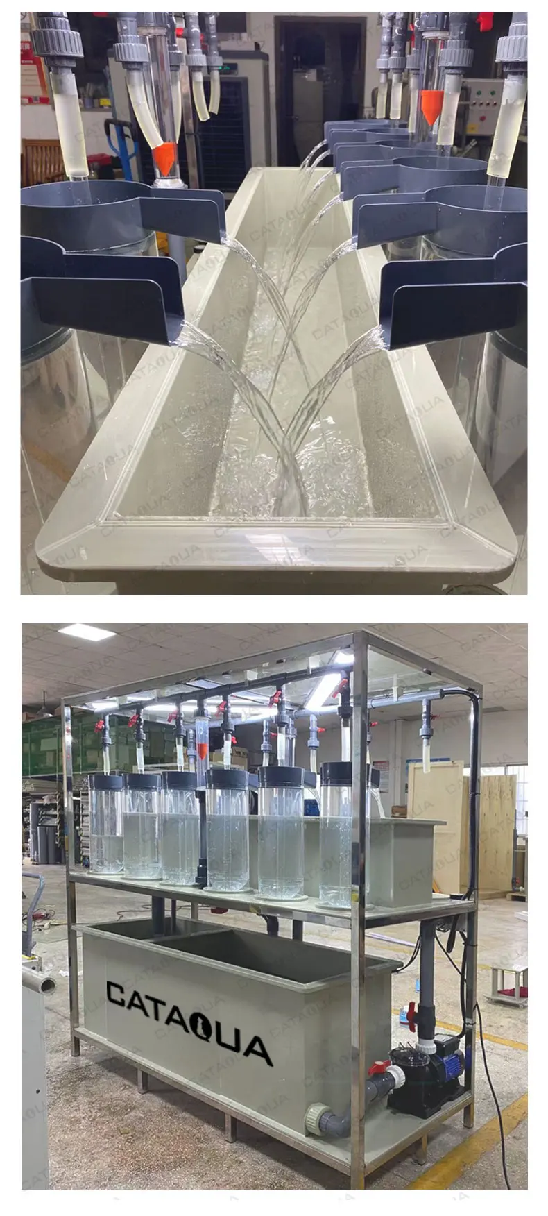 CATAQUA Fish Egg Incubator - Efficient Hatching Solutions