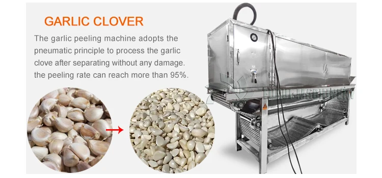 Best Selling Garlic Peeling Machine Production Line/garlic Breaking ...