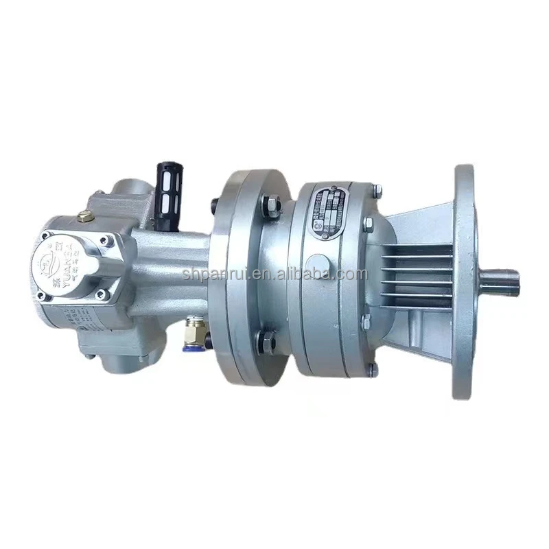 Pneumatic Motor 16AM-FRV-2 - 1/12 HP, 3000 RPM, Reversible