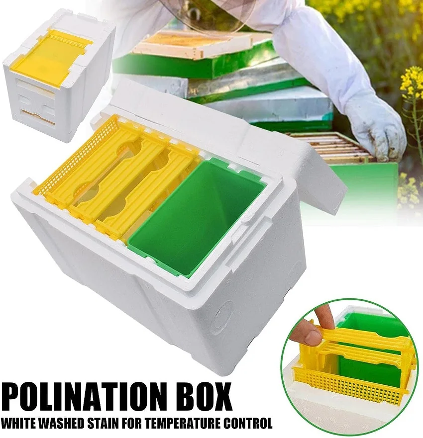 Mini Mating Bee Box - EPS Pollinator Box for Queen Rearing