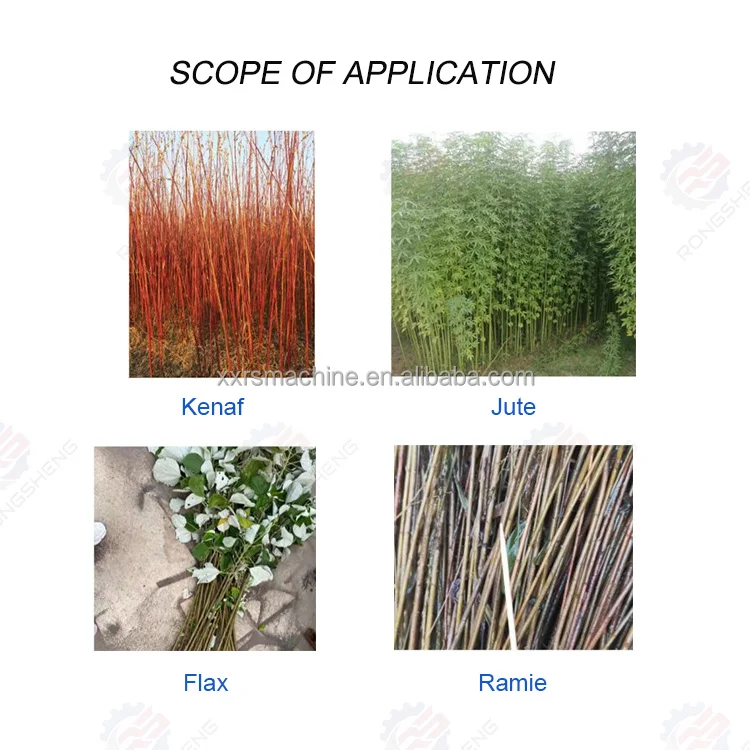 Philippines-abaca-fiber-decorticator Sisal Fiber Automatic Decorticator ...
