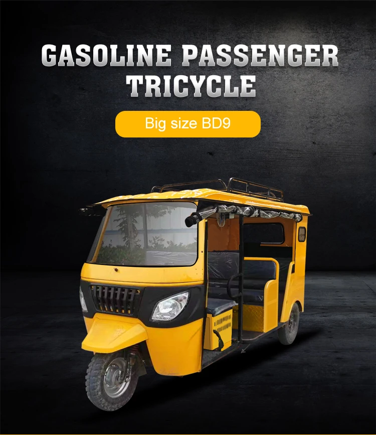 Mototaxi 200cc/250cc Water Cool Engine for Passenger