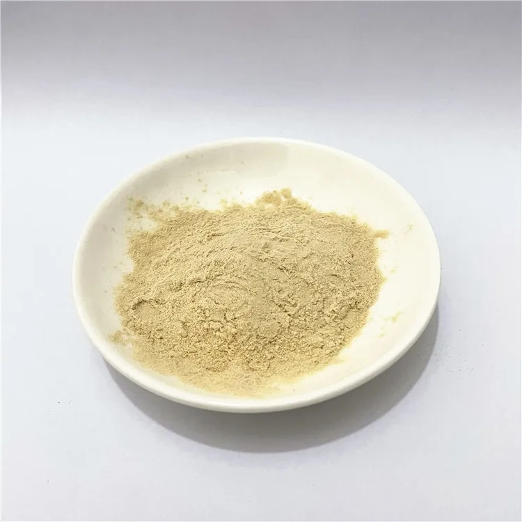 Bacillus Coagulans Supplement Food Grade Free Sample Health Provide ...
