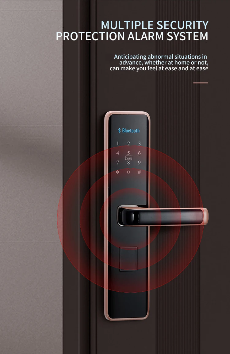 Aidmi Ttlock Tuya Smart Deadbolt Electronic Door Lock Set Wifi App ...