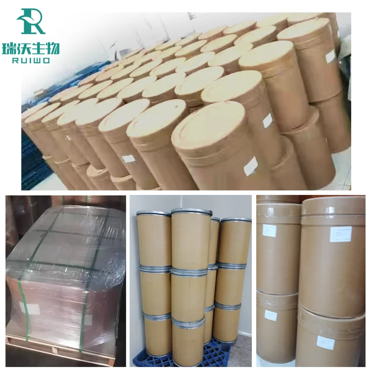 Iso Haccp Healthcare Supplement Natural Plant Extract Osthole Powder ...