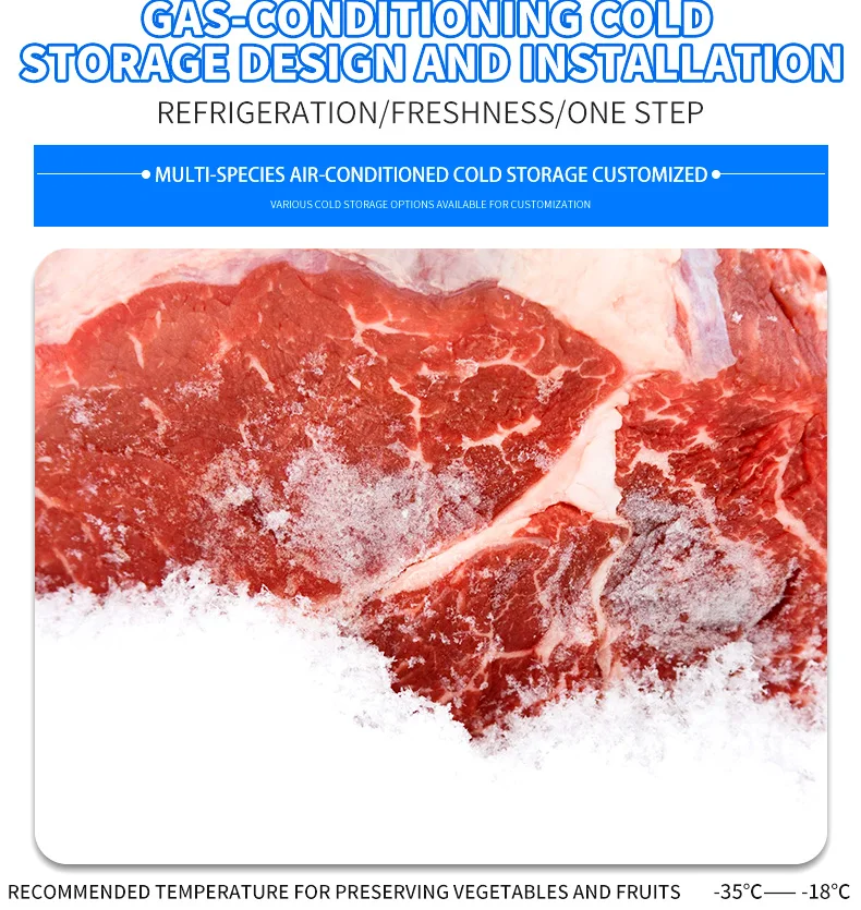 Large-scale Cold Storage Room Design And Planning Food Meat Freezer And ...