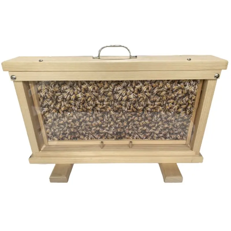 Standard Single Frame Observation Hive - Beekeeping Essentials