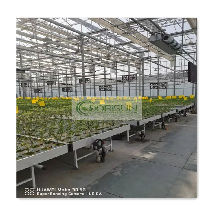 Plastic Rolling Flood And Drain Grow Tables Ebb And Flow System ...