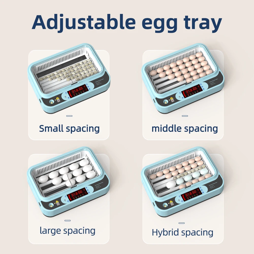 Magicfly Digital Mini Fully Automatic Egg Incubator 24-64 Eggs Poultry ...