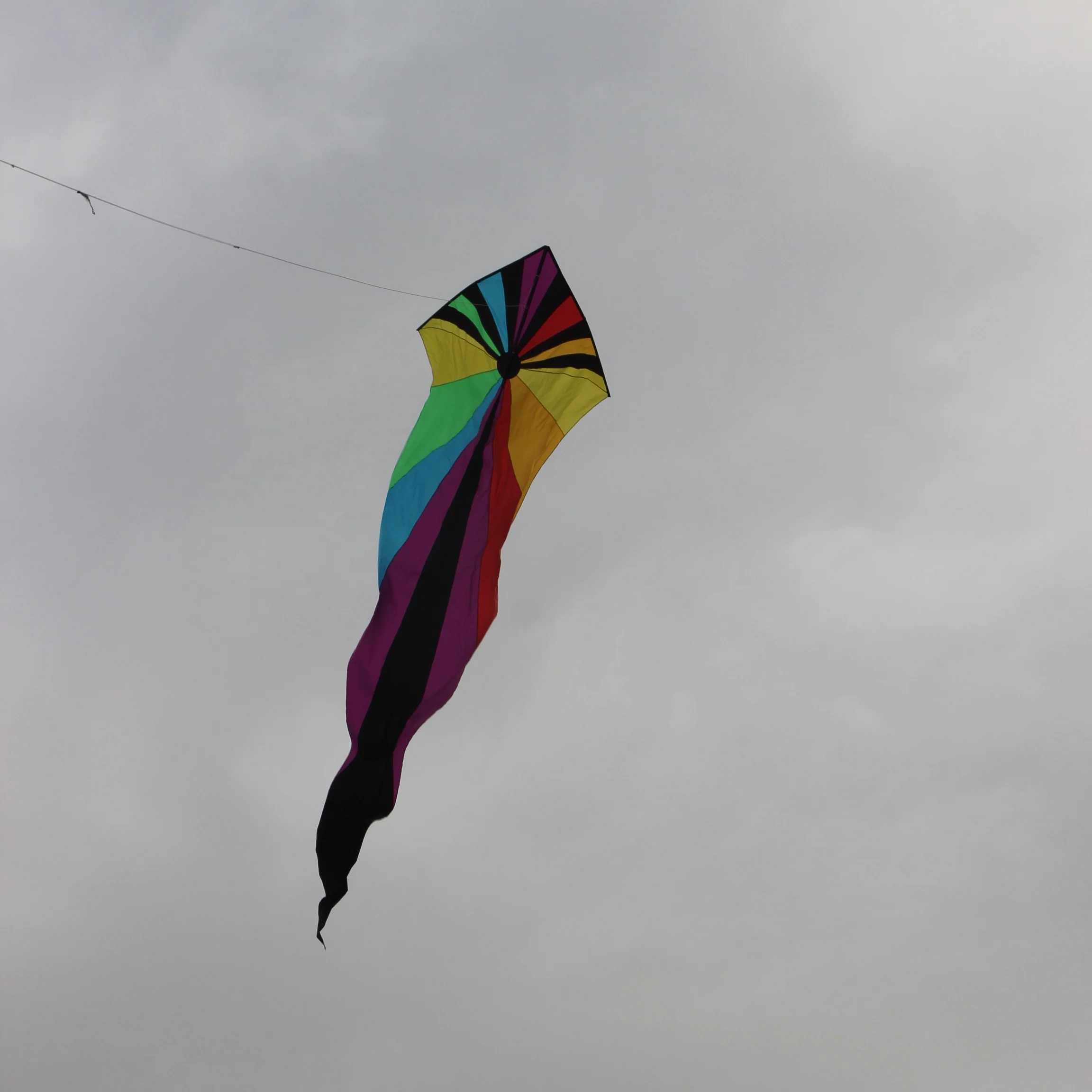 Delta Kite