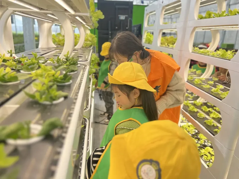 Indoor Vertical Growing Home System - Hydroponic Solutions