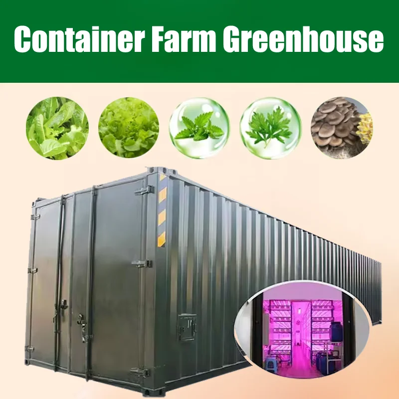40 Foot Container Intelligent Mushroom Growing Room