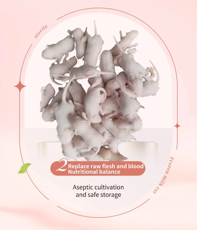 Frozen Fuzzy Mice Feed Snake Frozen Mice 20-24g Frozen Feeder Fuzzy ...