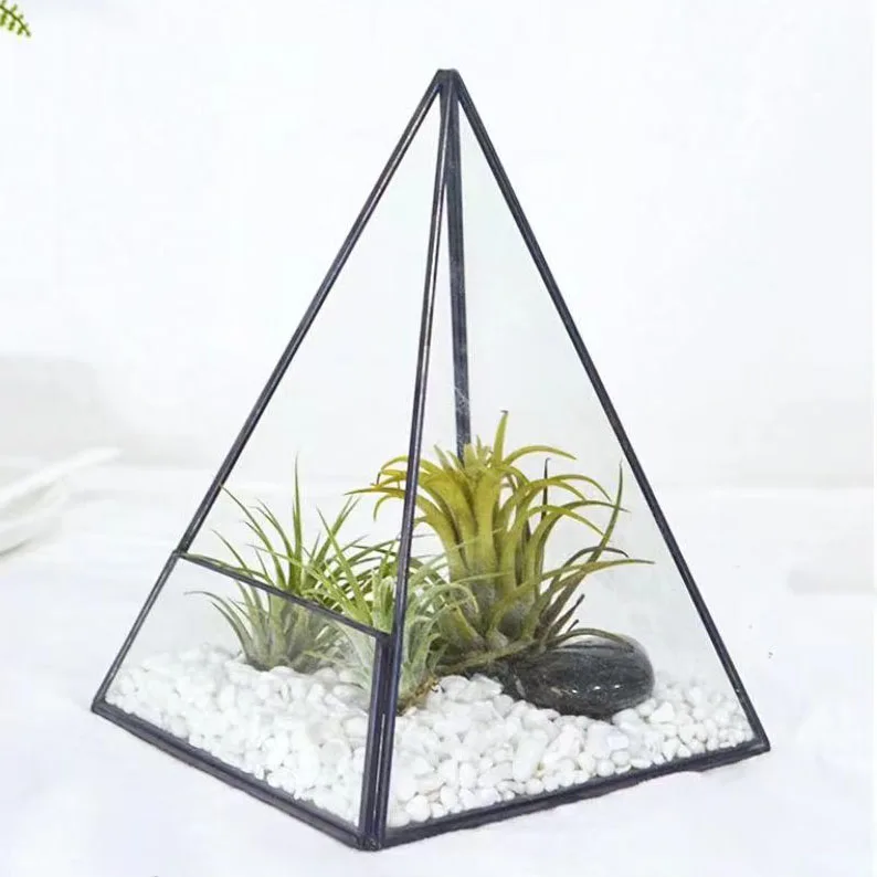 Pyramid Vertical Metal Glass Geometric Terrarium For Home And Indoor ...