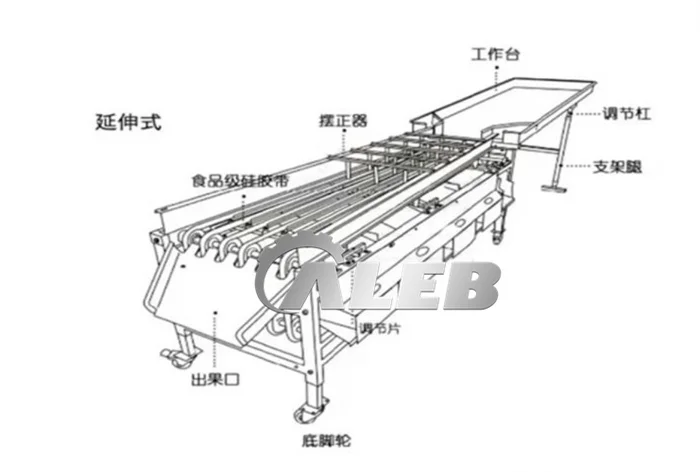 Conveyor Fruits Sorting Machine Dates Palm Berry Jujube Tomato Sorting Machine Electric Fruit