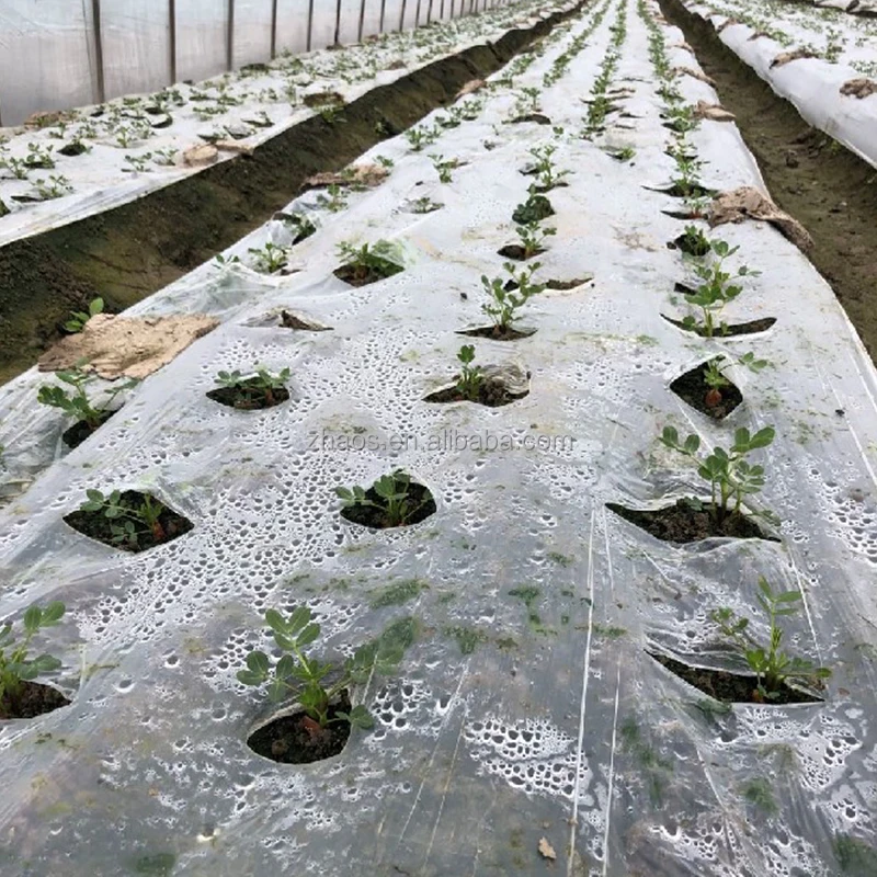 Garden Bee Black Silver Manufacturer ridge Biodegradable Mulching Film ...