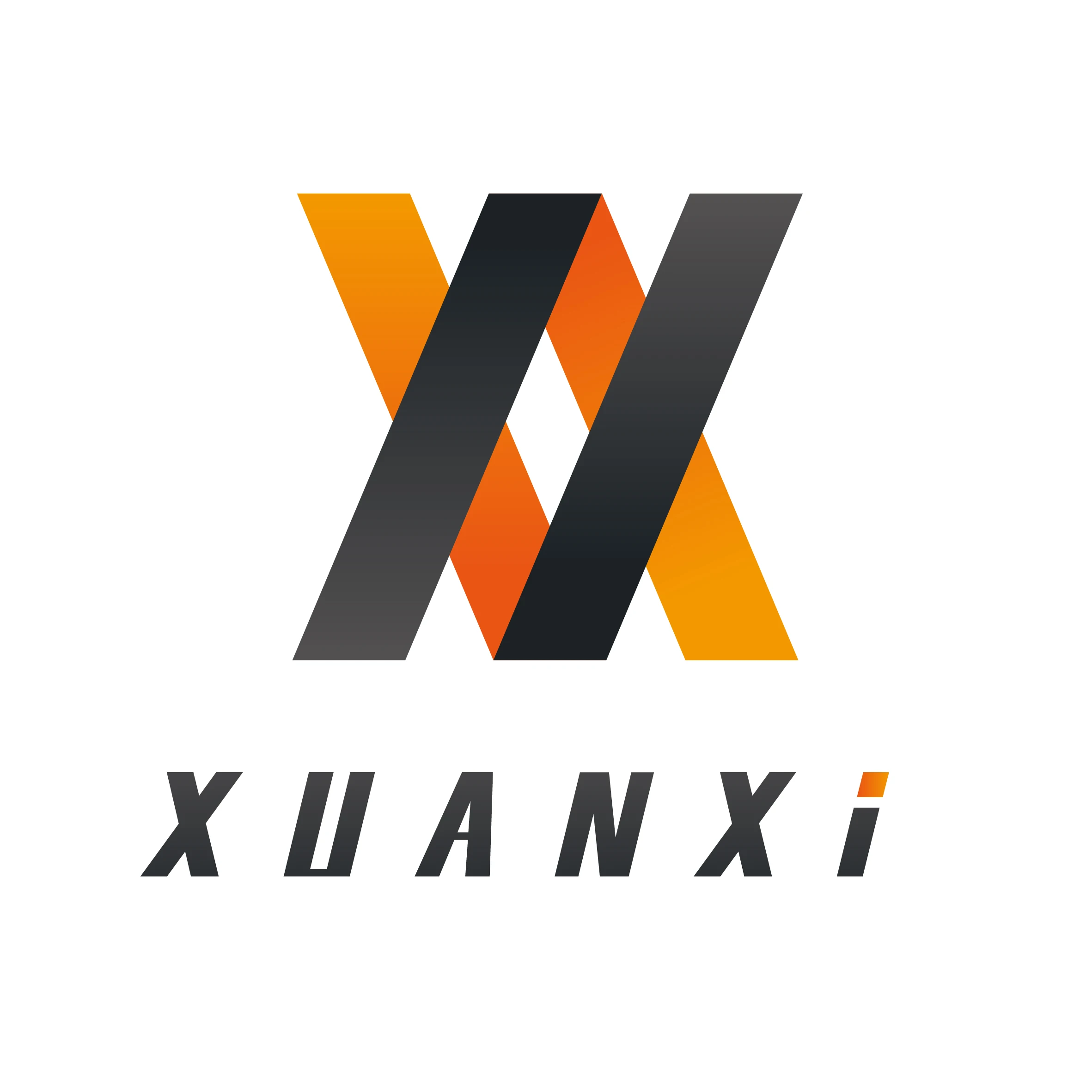 Company Overview - Wenzhou Xuanxi Electric Co., Ltd.
