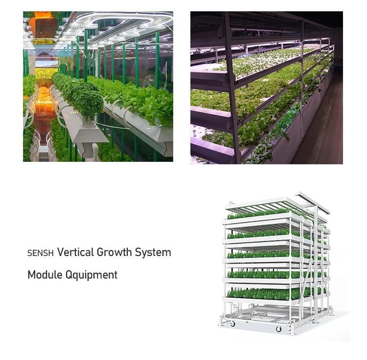 Indoor Hydroponic System - Customized Vertical Fodder Machine