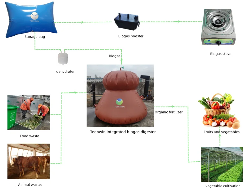 Family Home Size Biogas Plant Digester System - TEENWIN