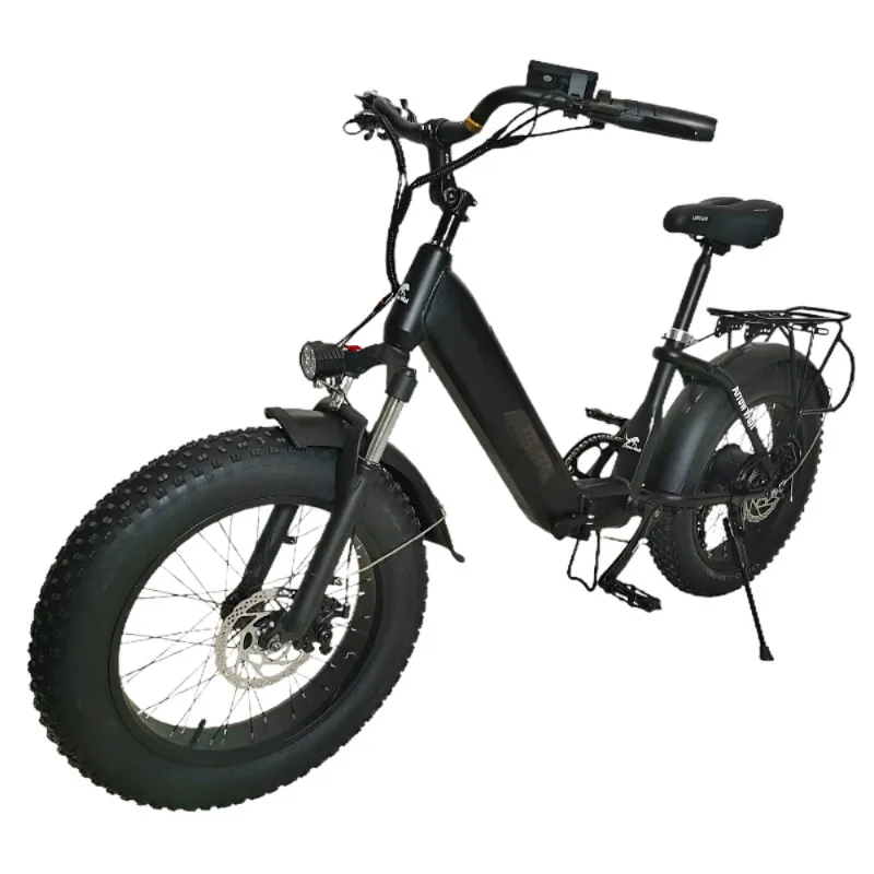 Electric Bike 20 Inch Foldable 4.0 Fat Tire Ebike Mountain Power ...