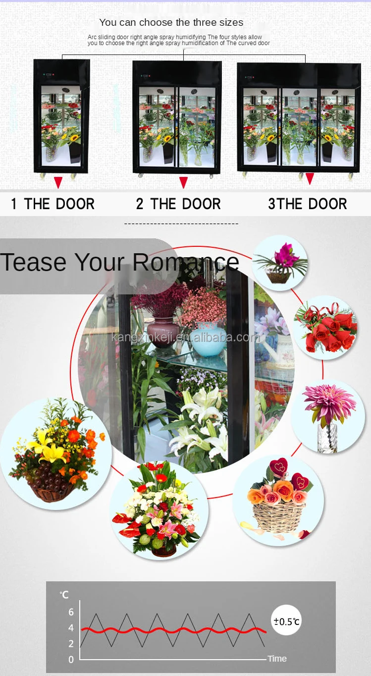DM-1 Floral Refrigerator for Flower Shops & Coolers ODM | Wholesale