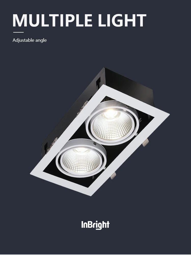 10W 20W 30W Double Head Rectangle Adjustable Grille down Light COB ...
