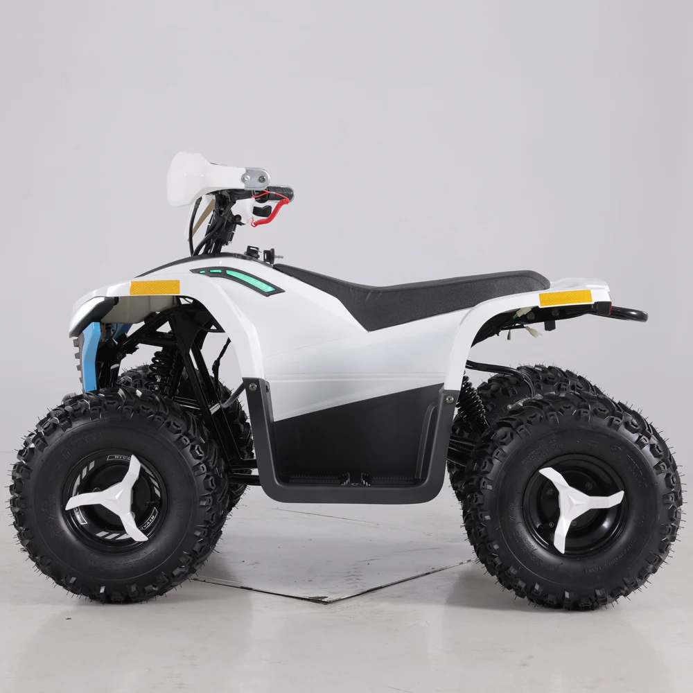 Tao Motor 2023 Latest Design 48v 1600w Teenage Electric Atvs - Buy ...
