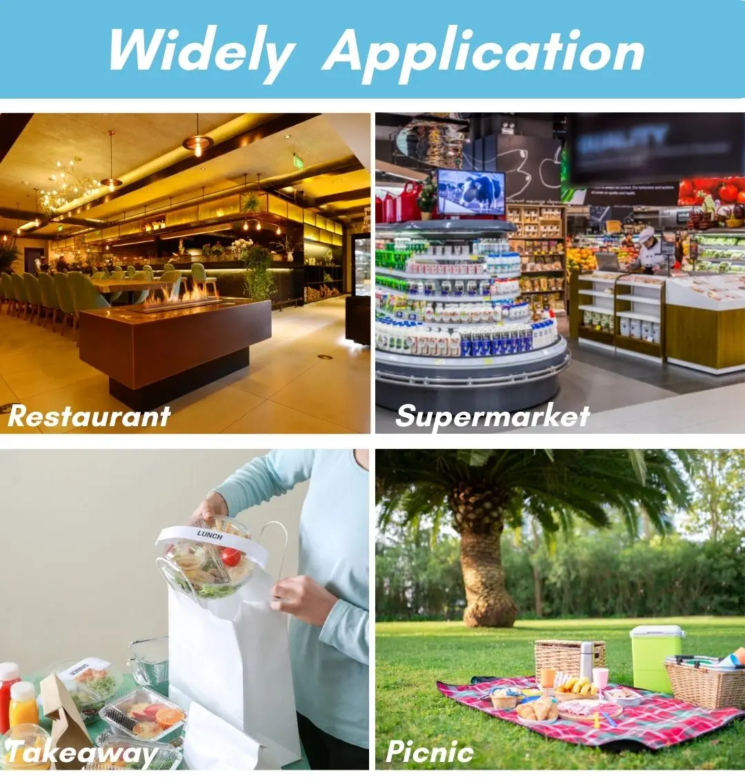 Eco-friendly Bento Boxes - Sustainable Food Packaging