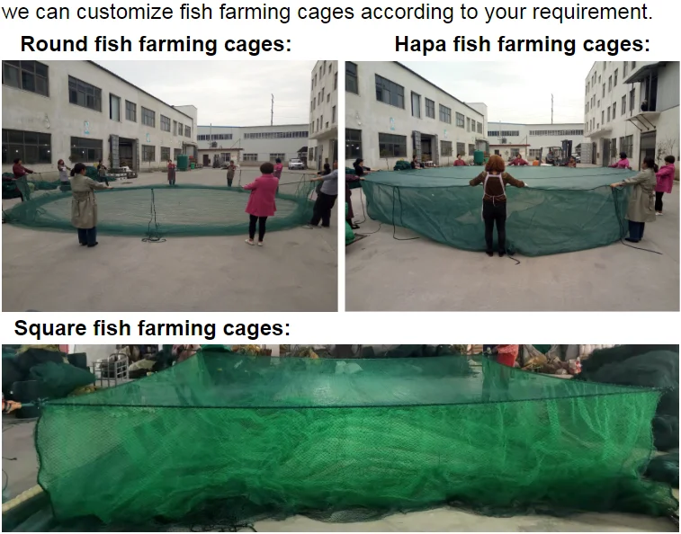 0.5mm 1mm Mesh Aquaculture PE Fish Farming Nets Hapa Net Cage for Fish ...