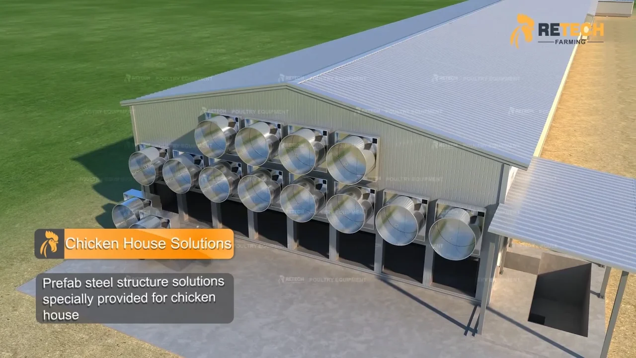 Poultry Shed Chicken Farming Equipment Modern Design Automatic ...
