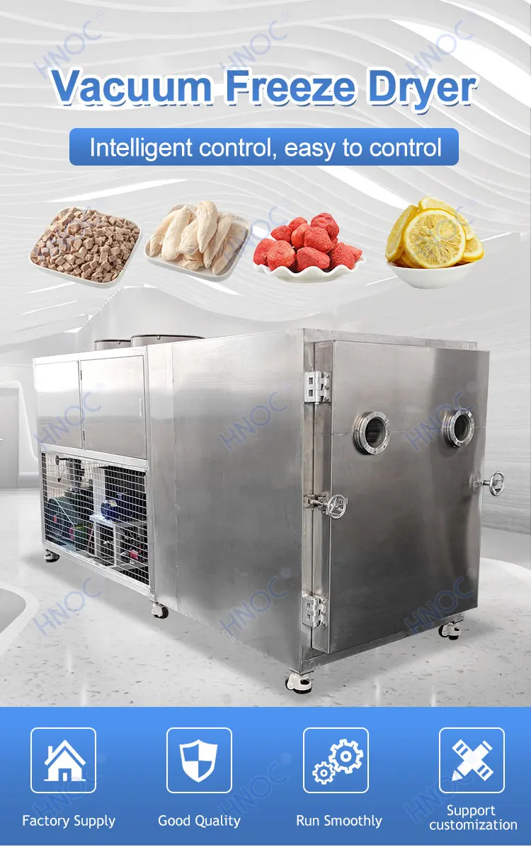 Industrial Lyophilization Machine - Efficient Freeze Drying