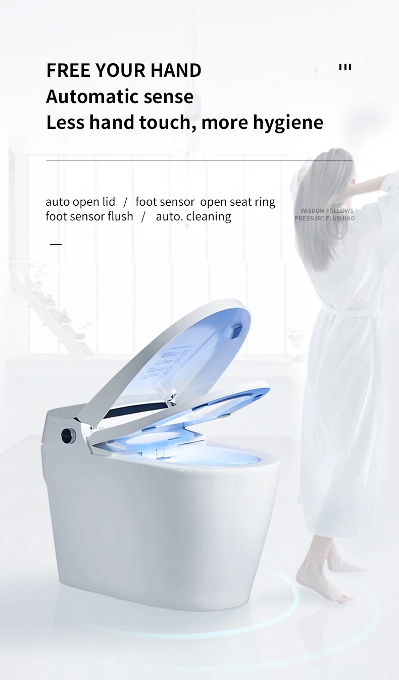 Modern Sanitary Wares One Piece Intelligent Electric Toilet Bidet ...