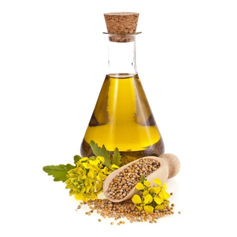 Wholesale Organic Cold Pressed Rapeseed Oil - ISO, Kosher & HALAL ...