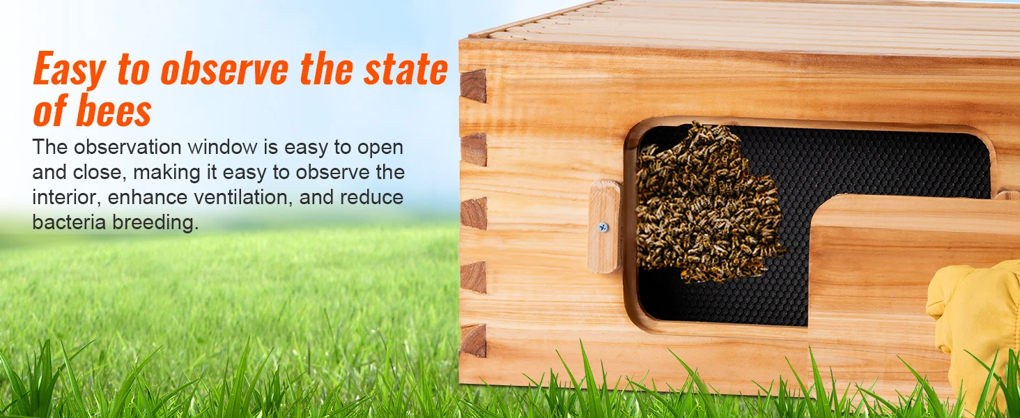 Beehive Brood Boxes for Observation Beehive| Alibaba.com