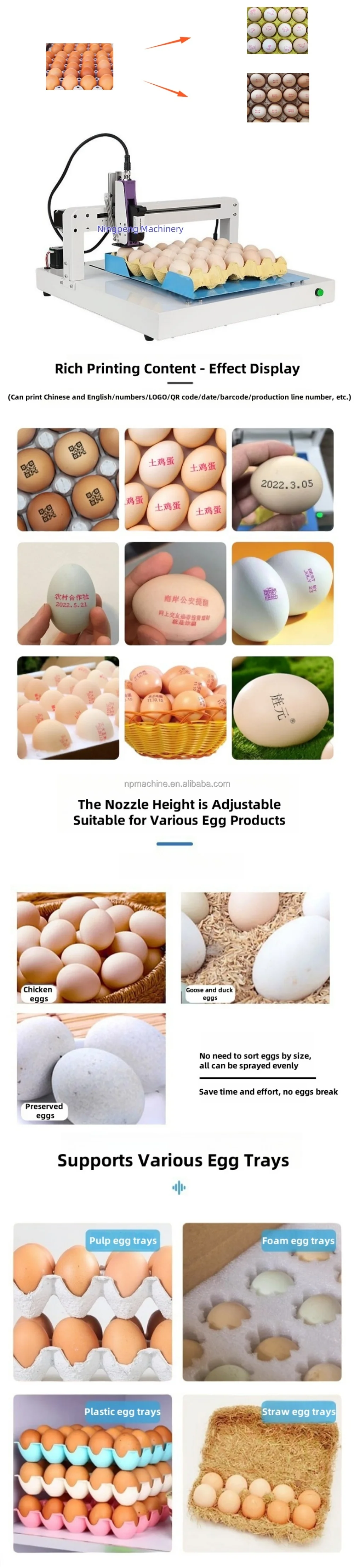 NP Brand Egg Marking Printer High Quality Automatic Printer For Eggs ...