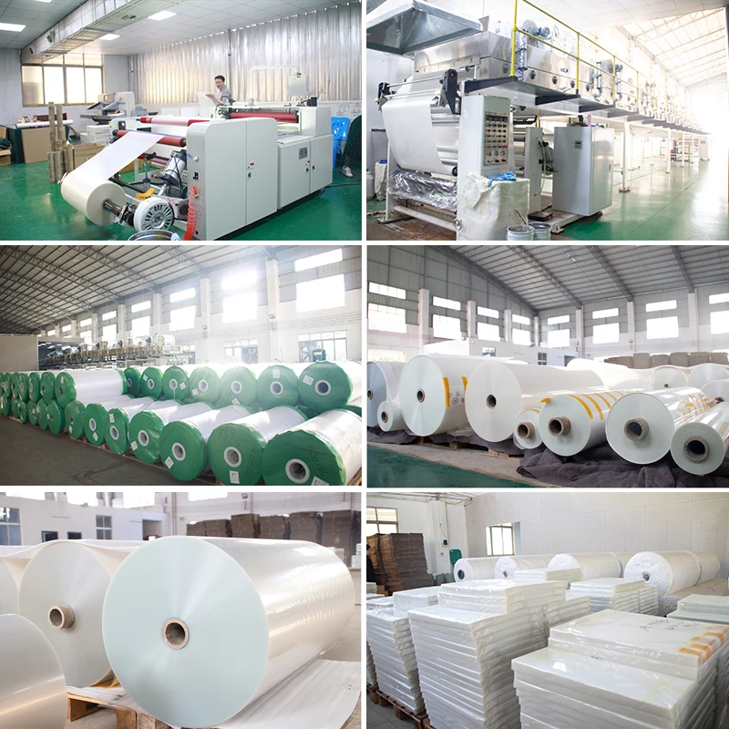 Heat Transfer Film Korea Print Plastisol Heat Transfer Printing Dtf ...