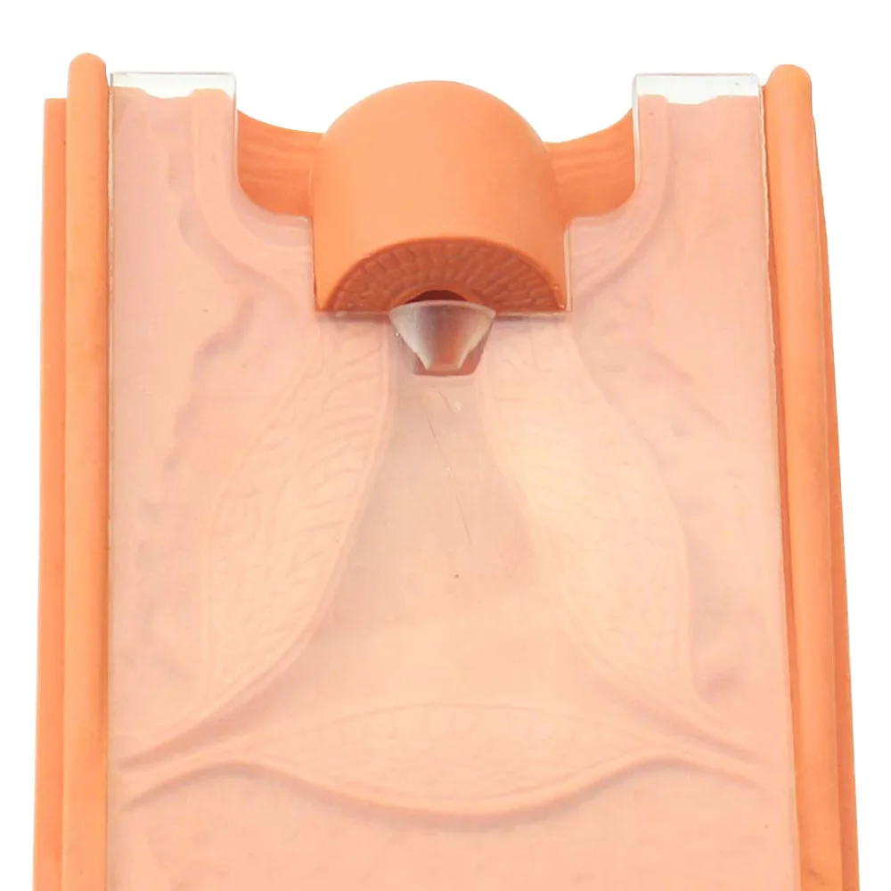 Nursing Female Vaginal Anatomy Model & IUD Simulator
