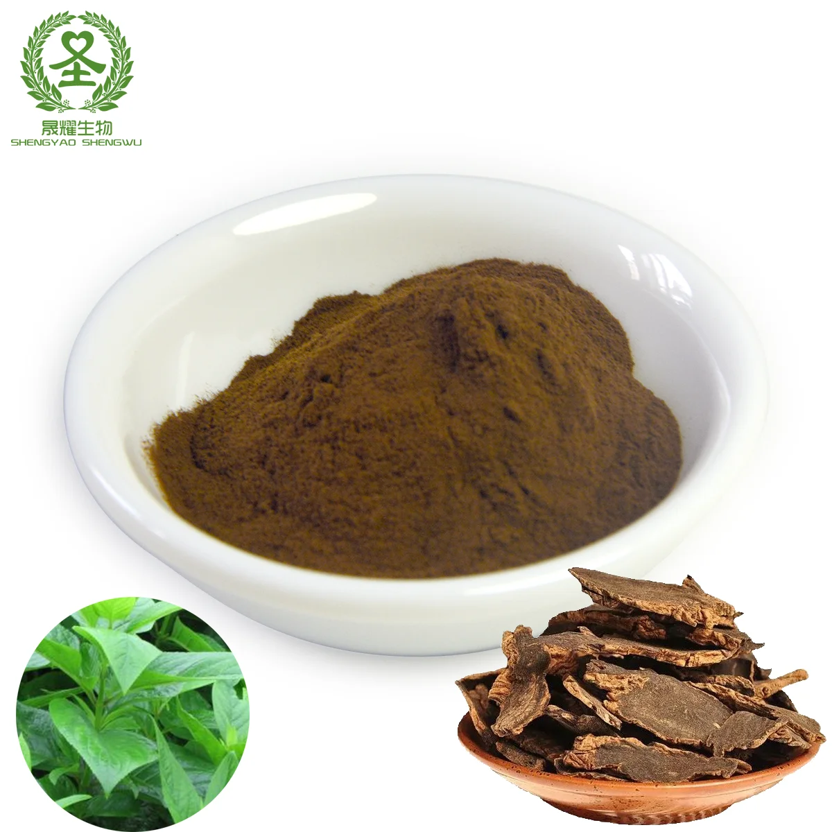 New Product Radix Scrophulariae Figwort Root Extract Powder ...