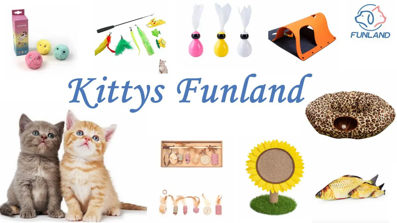 Funland Relieving Snacks Ball Pet Toys Swing Kitten Catnip Ball Cat ...