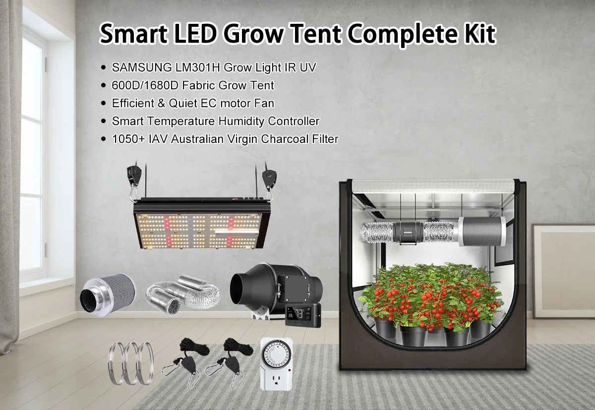 2023 Update 2x2 Smart LED Growing Tent Kit Samsung Grow Light 24"x24 ...
