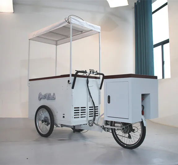 Ice Cream Bike with 258L Freezer - Perfect for Popsicles