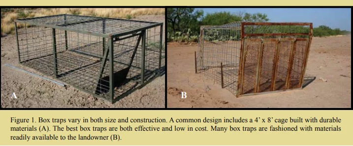 3-door Feral Hog Trap - Efficient Animal Control Solution