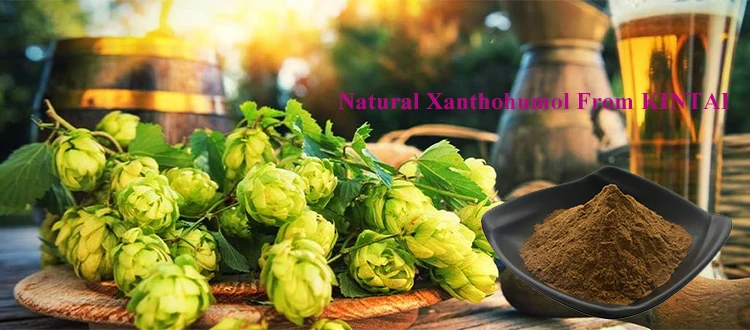 High Quality Xanthohumol Powder Hop Flower Extract Hops Extract ...