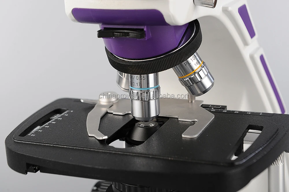 Lexison PBM-CT200P Microscope - Versatile for Pet Hospitals