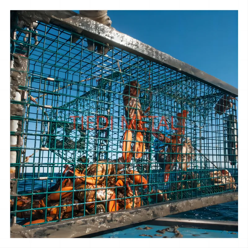 Iron Fish Trap Fishing Crawfish Wire 3/4" Wire Trap Crab Blue Crab Trap ...