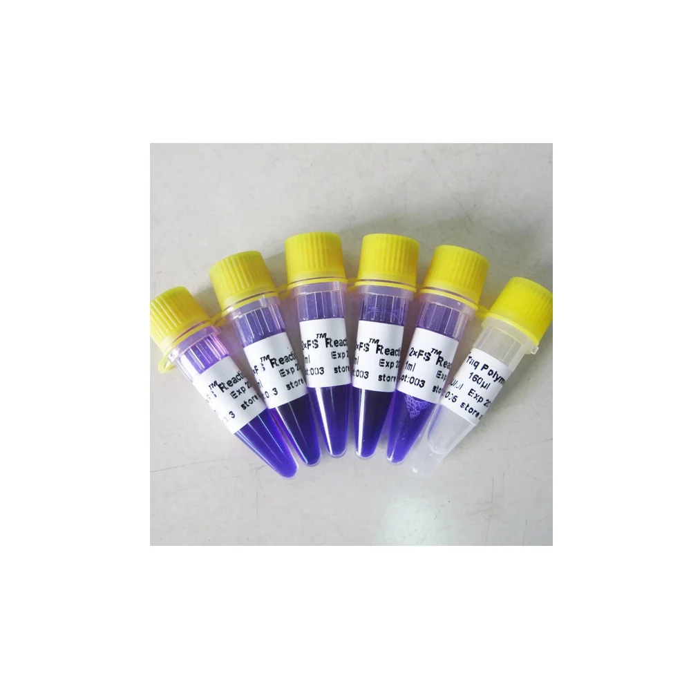 Hot Start Dna Polymerase Fs Taq Mix,Pcr Master Kit,5ml,P3072 - Buy Fast ...