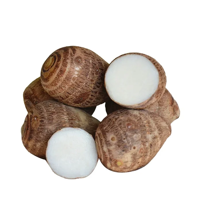 Fresh Taro Vegetable Food Export Taroes Dasheen China